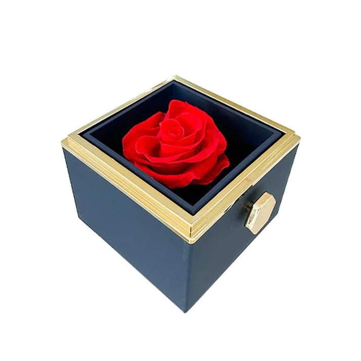 Hidden Jewelry Box – The Beginning Official